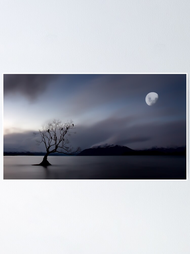 "Aanka" Poster by damienlee | Redbubble
