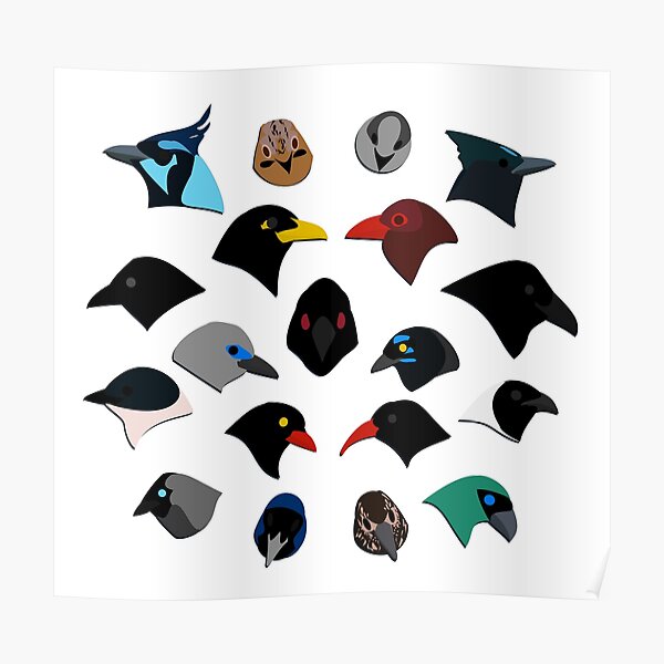 Corvidae Posters | Redbubble