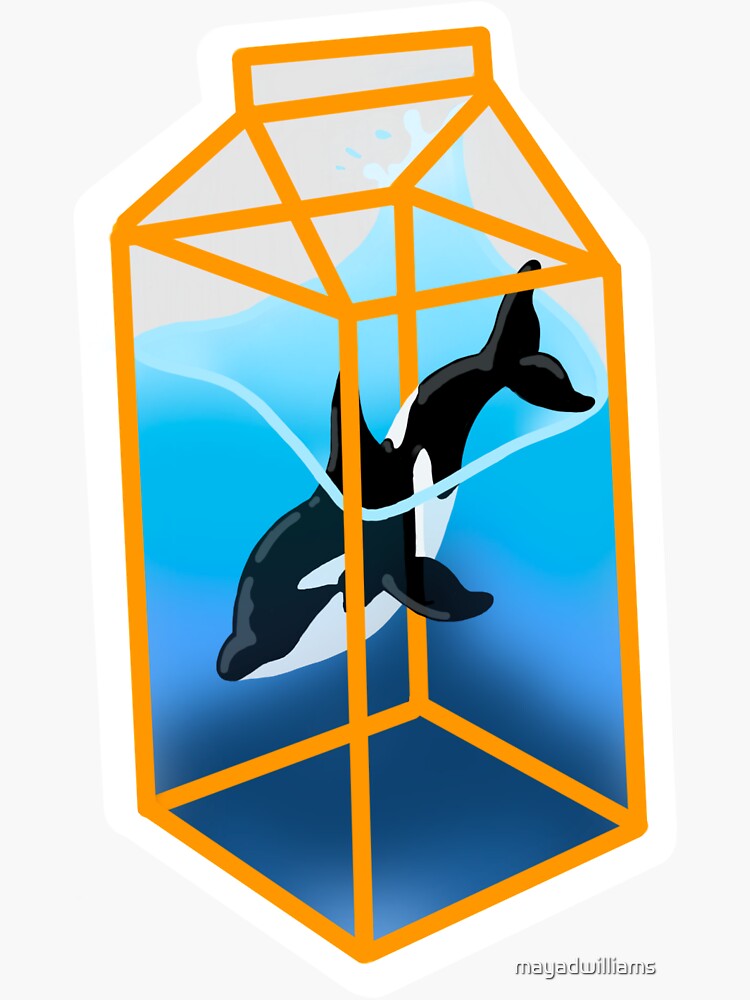 "Orca in a milk carton" Sticker by mayadwilliams | Redbubble