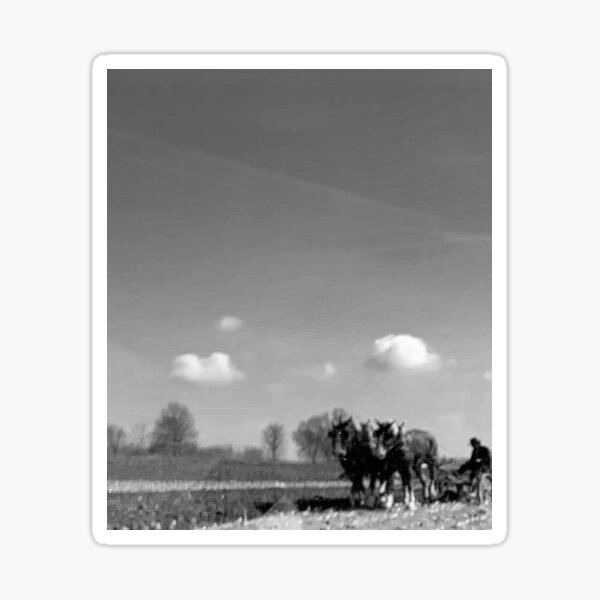 "Amish" Sticker by dancingbubbles | Redbubble