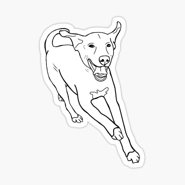 "Zoomies" Sticker by anniehartt | Redbubble