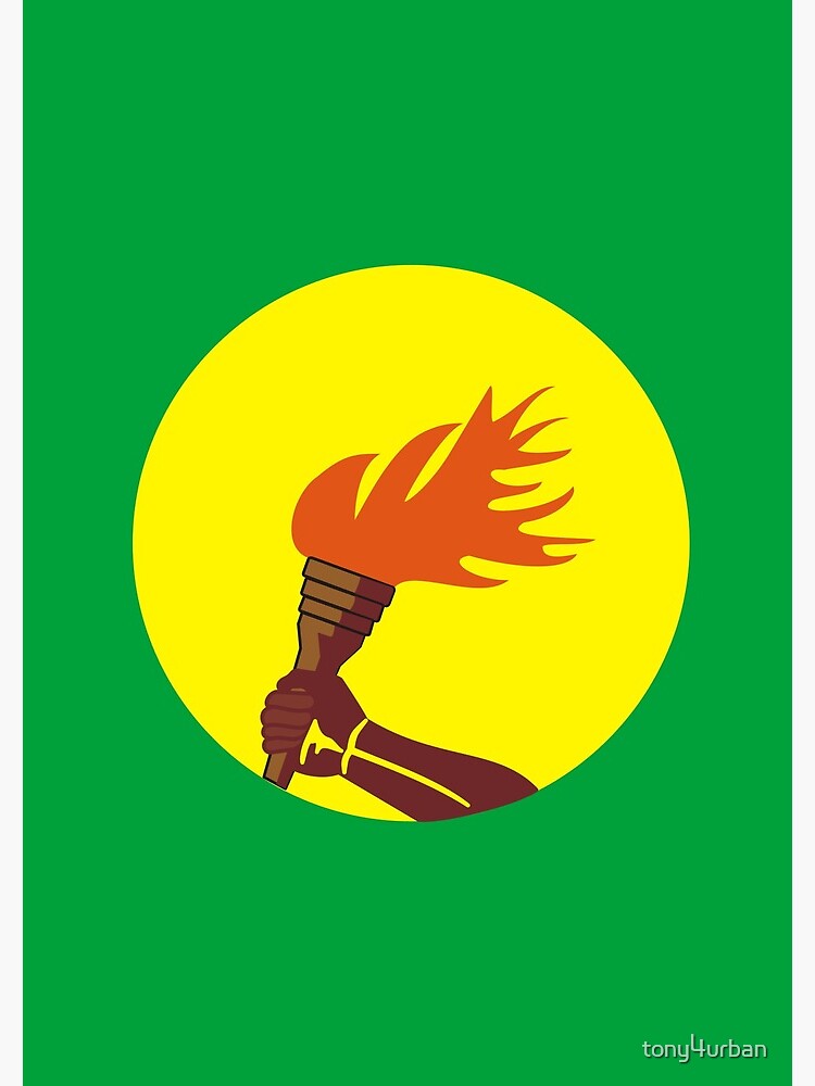 Zaire Flag Zaire Flag On Embroidered Shield Patch