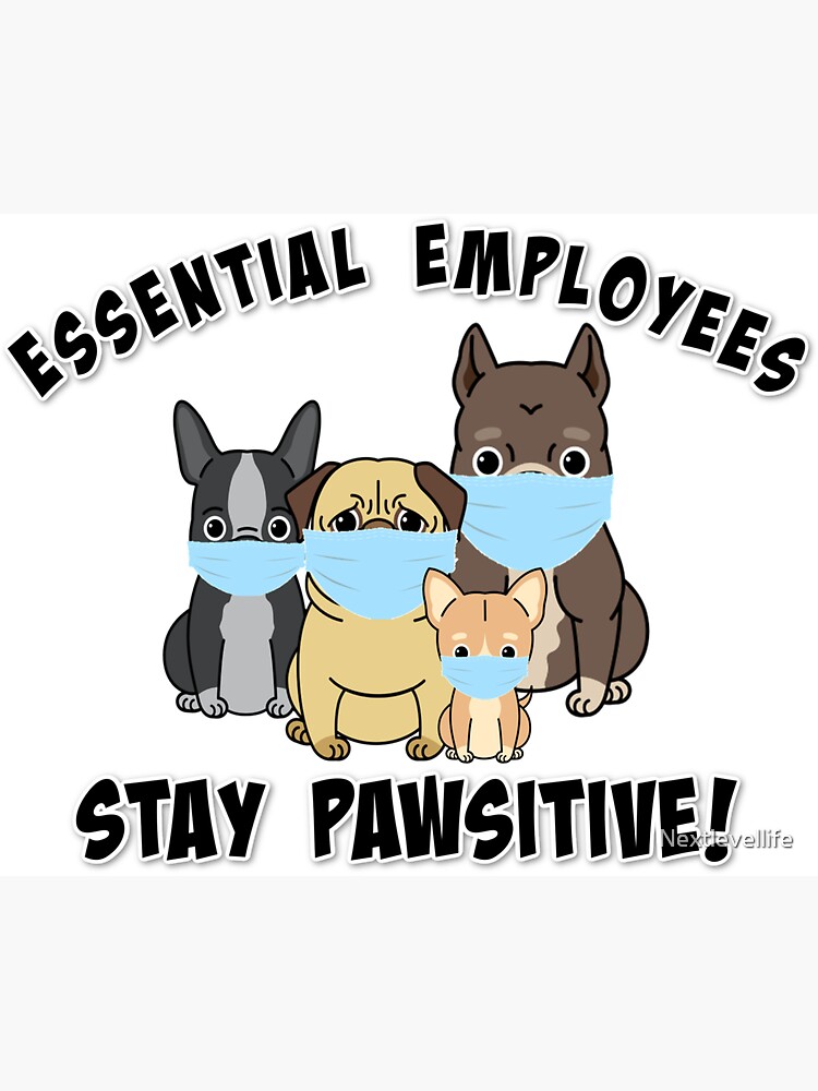 "ESSENTIAL EMPLOYEE MEMES STAY PAWSITIVE QUARANTINED GIFT IDEA 2020 ...