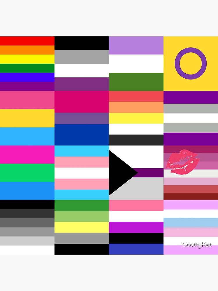Lgbt Pride Flags Collage Sticker For Sale By Scottykat Redbubble