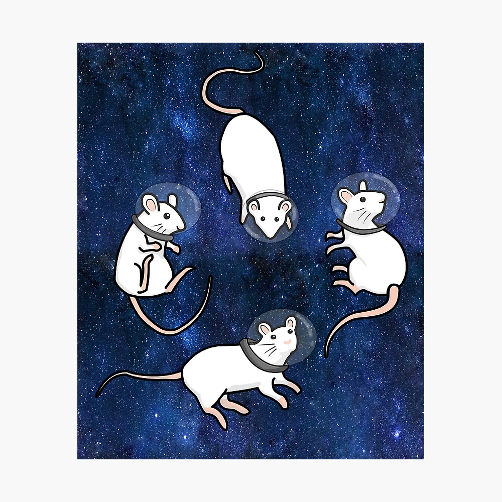 Rat In A Space Suit