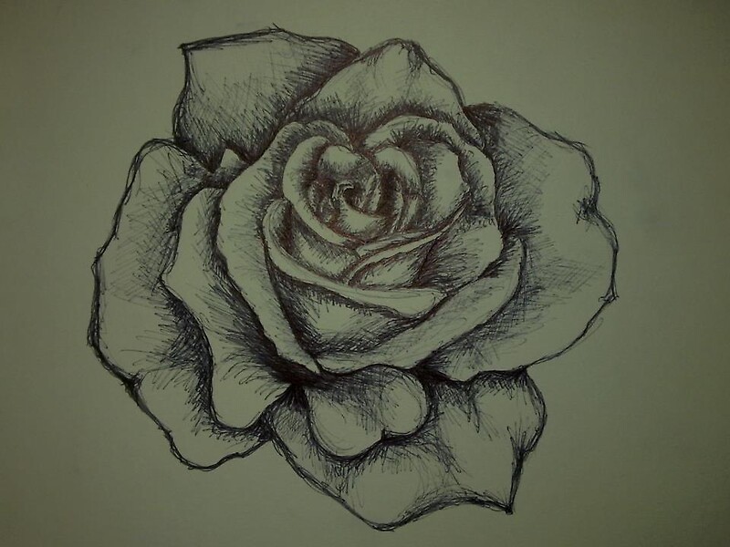"biro pen rose" by KellC | Redbubble