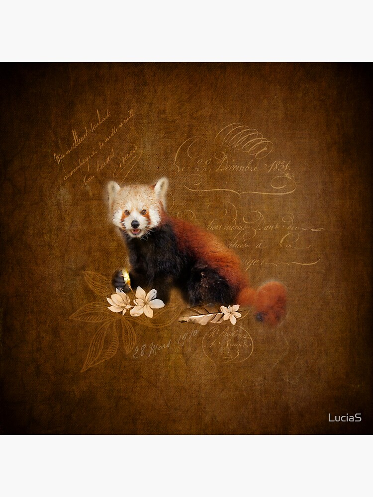 "Red panda vintage style" Sticker for Sale by LuciaS | Redbubble