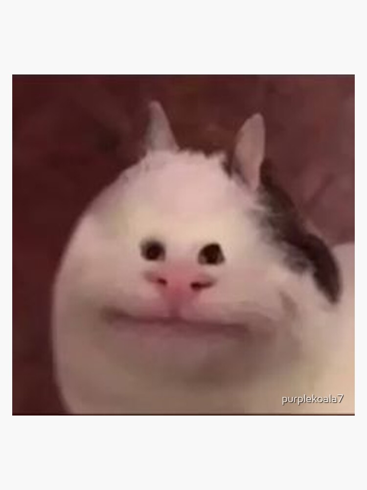 "cat face tehe" Sticker for Sale by purplekoala7 | Redbubble