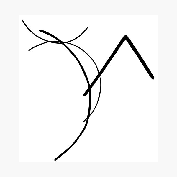 "Kandinsky Dance Curves 3" Photographic Print by artsyvectors | Redbubble