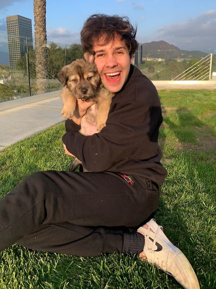 "David and Iron Man" Sticker for Sale by jordynalevine | Redbubble