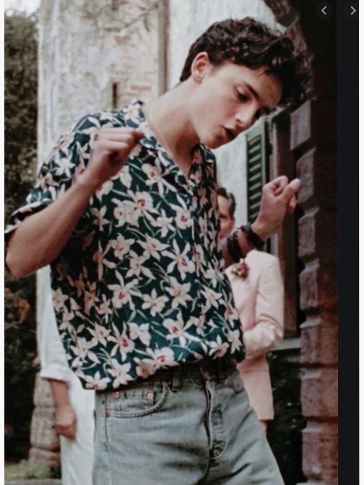 "Timothèe Chalamet CMBYN" Sticker for Sale by louellet23 | Redbubble