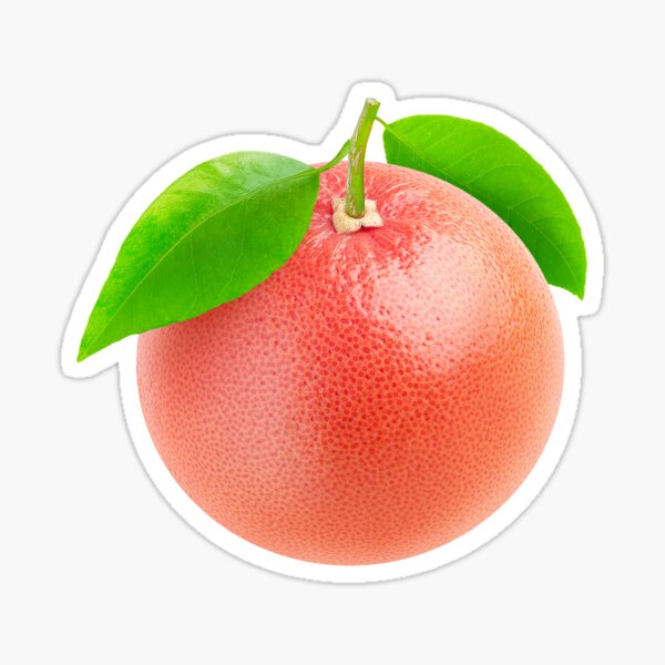 "Pink grapefruit" Sticker by 6hands | Redbubble