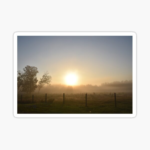 "Foggy Morning 3" Sticker by andreaanderegg | Redbubble