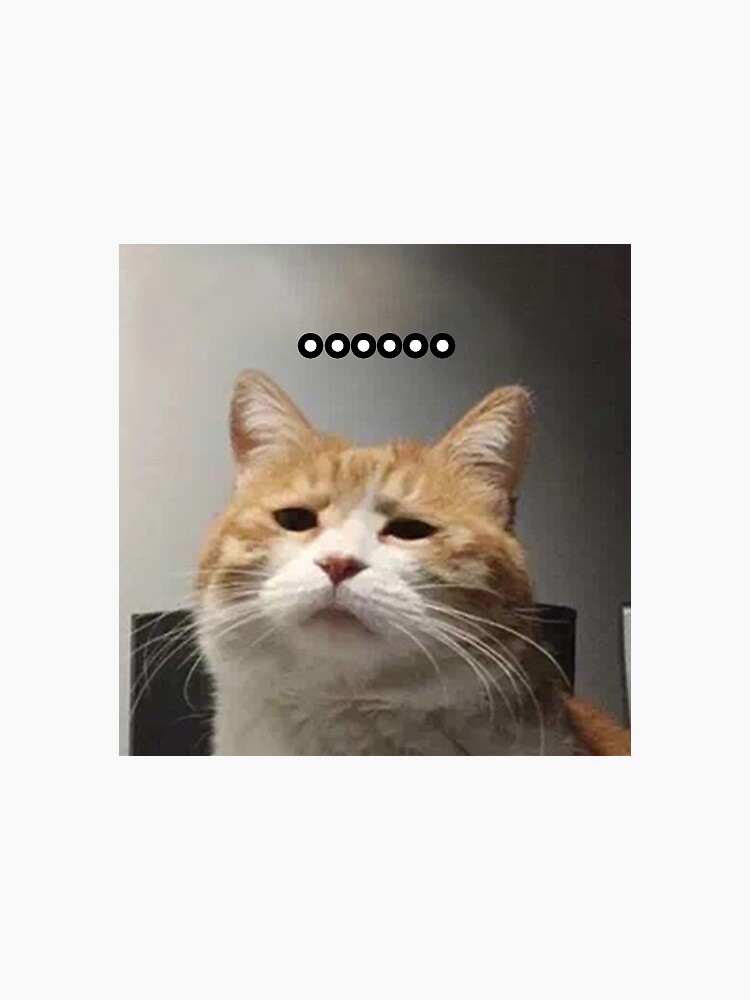 "Sad Cat" Sticker by SabrinaSlater | Redbubble