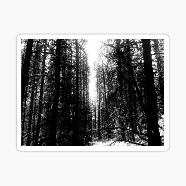 "Pathway" Sticker by CodyStudios | Redbubble