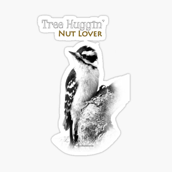 "Tree Hugging Nut Lover" Sticker by rollosphotos | Redbubble