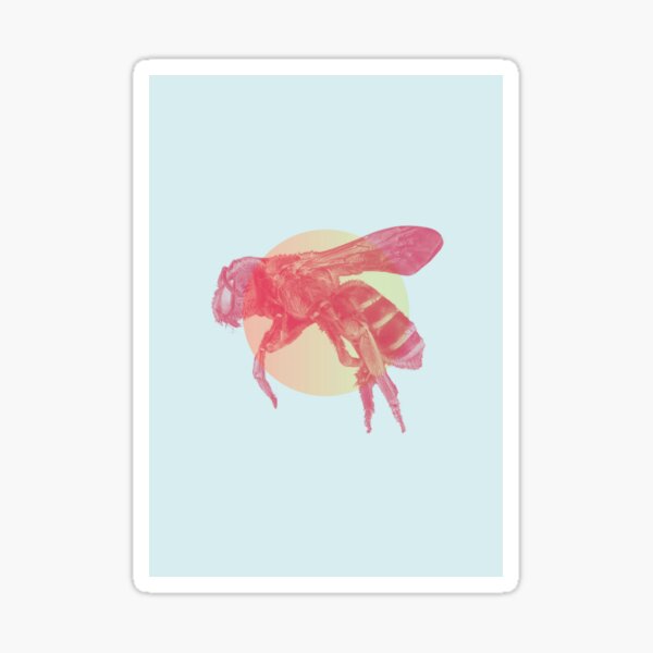 "Wendy the Wasp" Sticker by archipelago-art | Redbubble