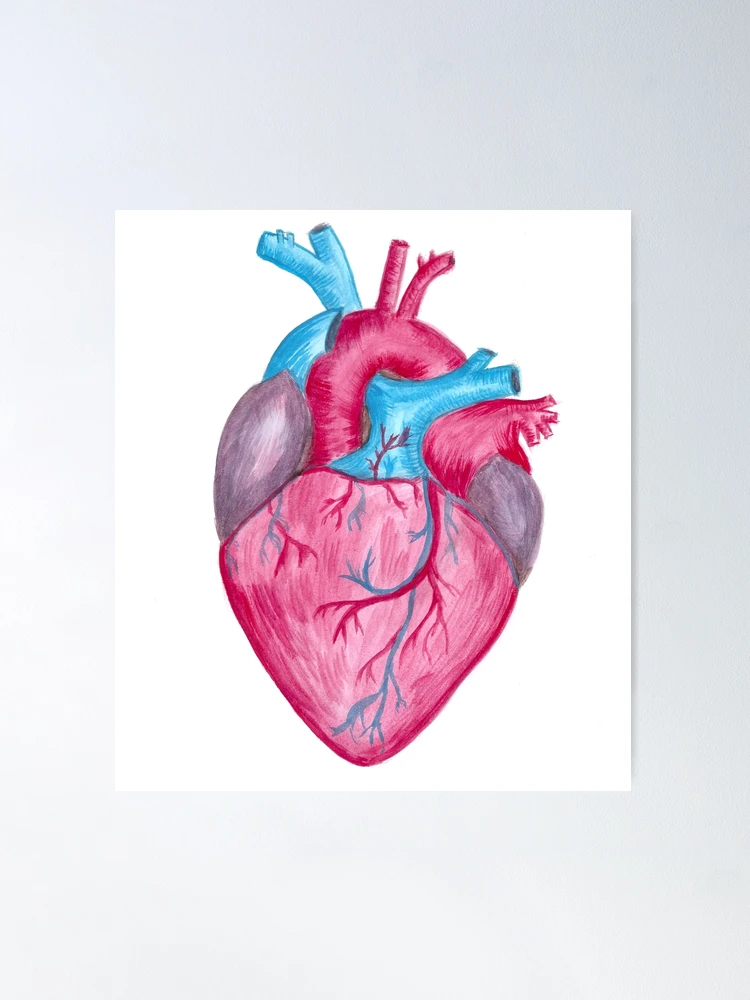 Dibujos De Corazones Humanos A Color Ilustración De Corazón Rosa Y