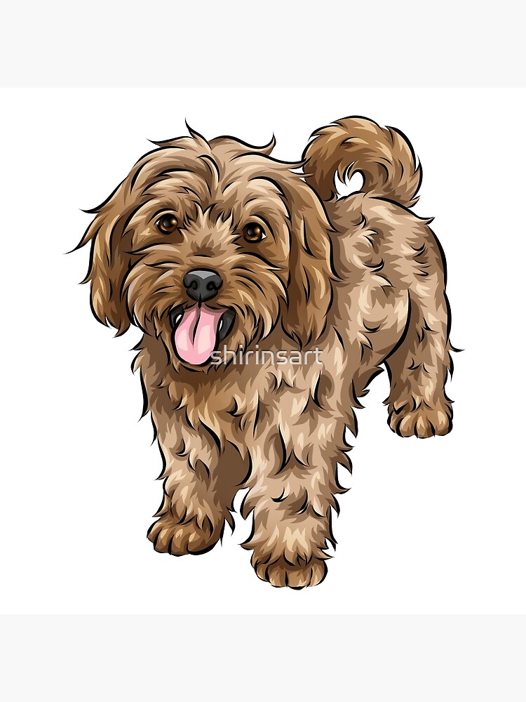 "Cute Cavapoo | Cute Dog Art" Photographic Print by shirinsart | Redbubble
