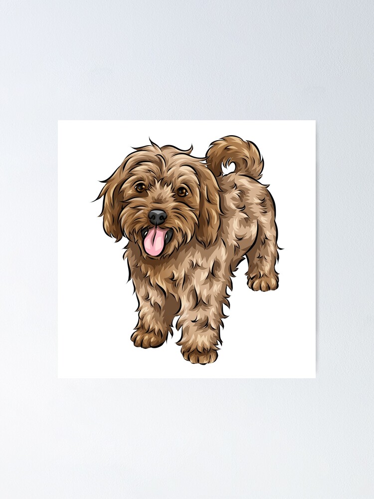 "Cute Cavapoo | Cute Dog Art" Poster by shirinsart | Redbubble