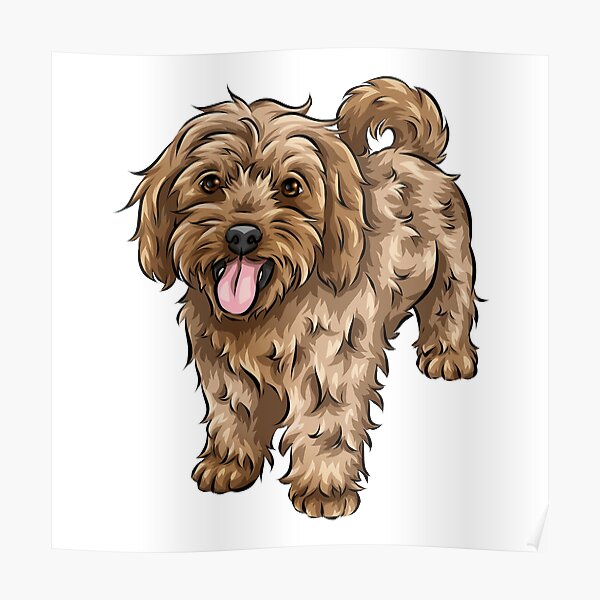 "Cute Cavapoo | Cute Dog Art" Poster by shirinsart | Redbubble