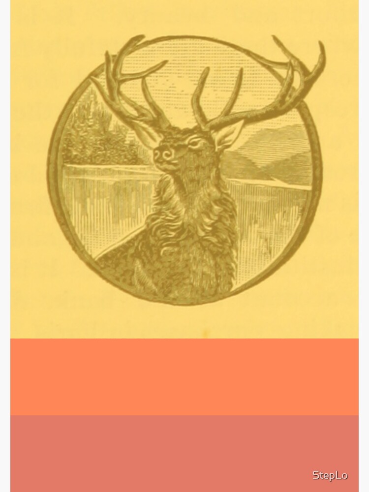 "Stag in Colours" Sticker for Sale by StepLo | Redbubble
