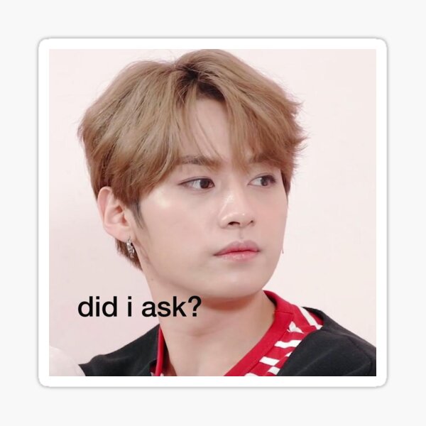 "Stray kids - Minho 'did i ask?'" Sticker for Sale by zainabsamin2003 ...