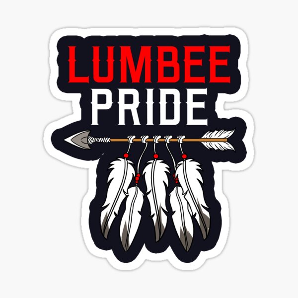 Native American Stickers | Redbubble