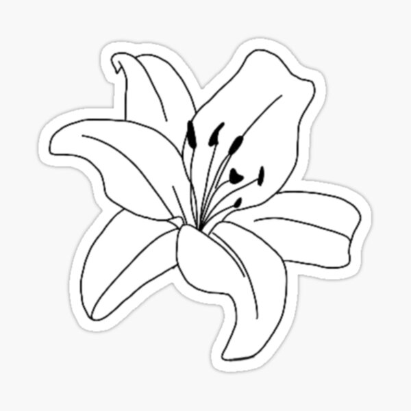 "Lily Flower Line " Sticker by Abbiedaisyxox | Redbubble