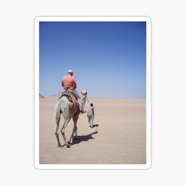 "Native egyptian is leading a tourist on a camel in the desert" Sticker ...