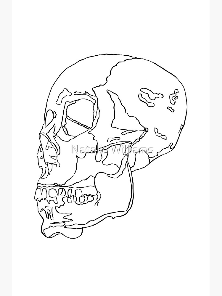 "Skull Contour Line Art" Poster for Sale by Curlytale | Redbubble