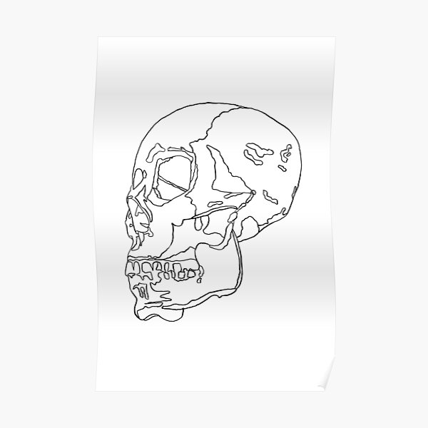 "Skull Contour Line Art" Poster for Sale by Curlytale | Redbubble