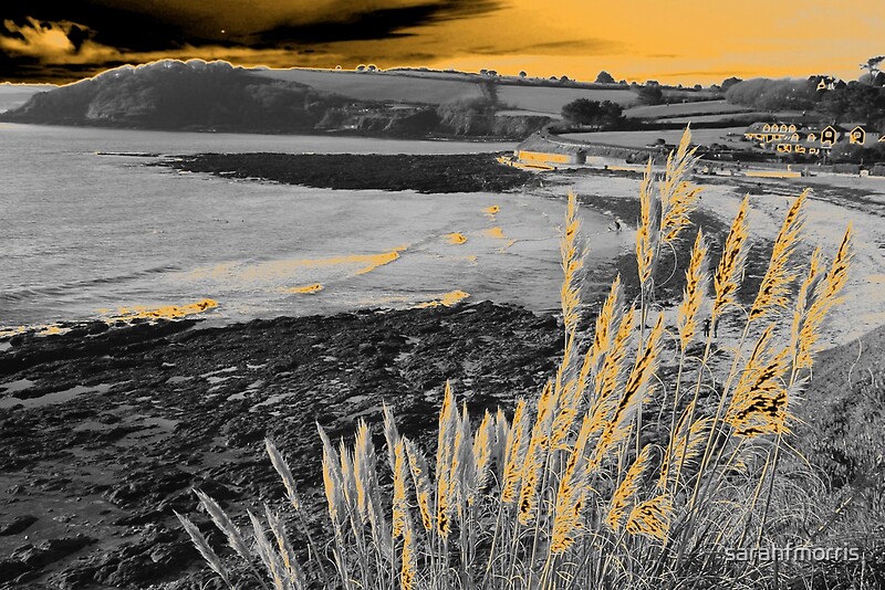 "Golden Gylly Beach" by sarahfmorris | Redbubble