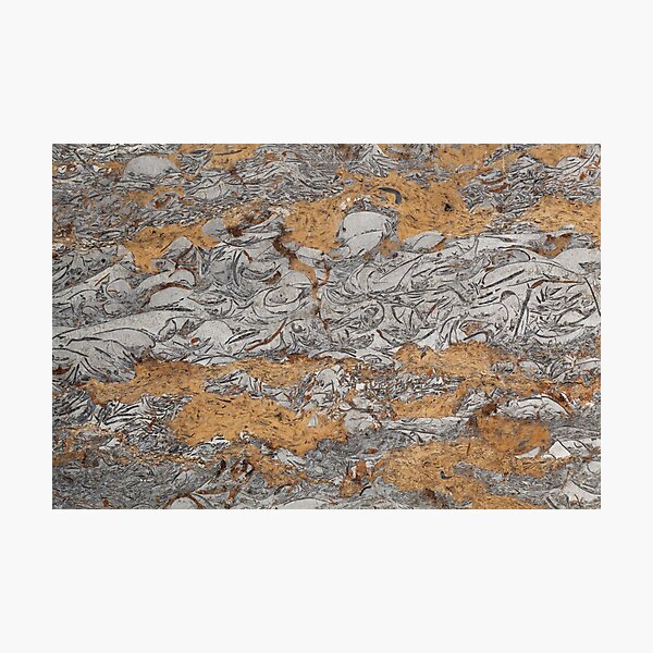 "Surface of a clay mineral and fossil rich limestone of middle Triassic ...