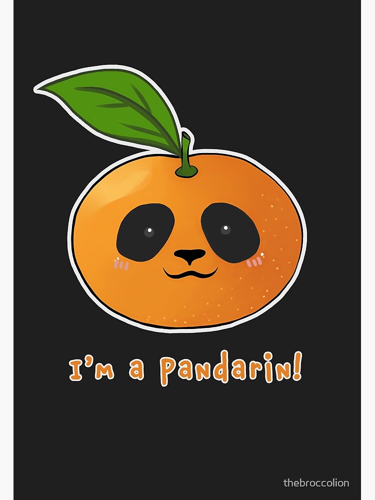 "The Pandarin - Panda meets Mandarin (dark version)" Poster for Sale by ...