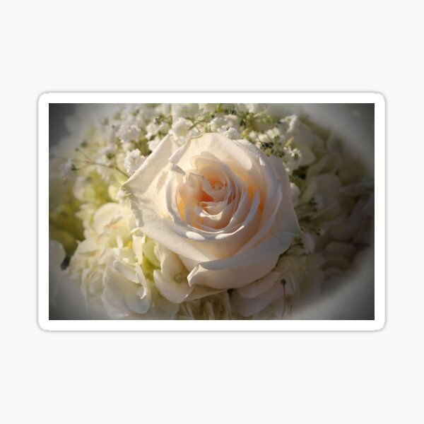 "Elegant White Roses" Sticker for Sale by Cynthia48 | Redbubble