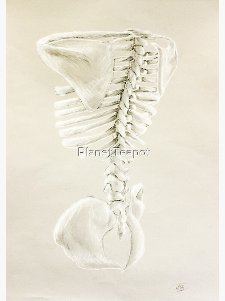 "Backbone" Sticker by PlanetTeapot | Redbubble