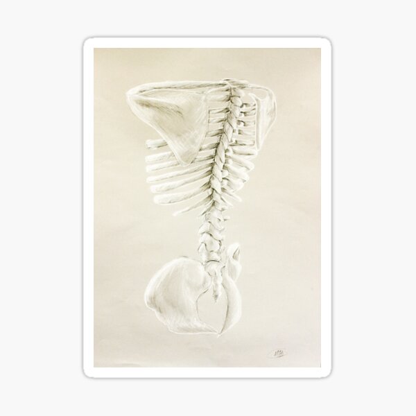 "Backbone" Sticker by PlanetTeapot | Redbubble