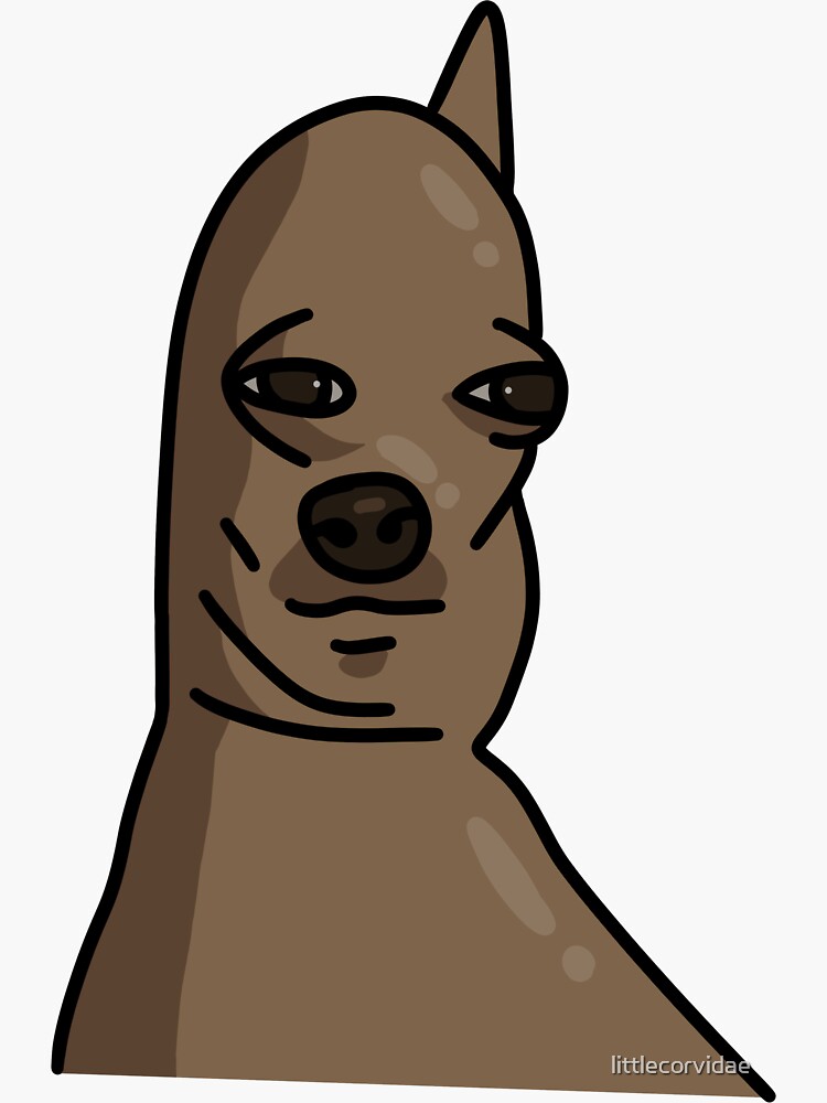 "Cursed Chihuahua, squished face" Sticker for Sale by littlecorvidae ...