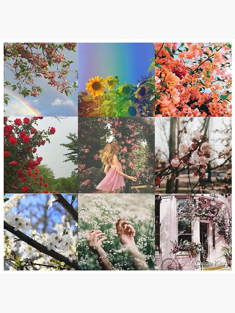 "Spring Mood Board 1" Poster by Mrs-Chloe-Dixon | Redbubble