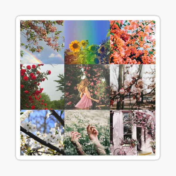 "Spring Mood Board 1" Sticker by Mrs-Chloe-Dixon | Redbubble