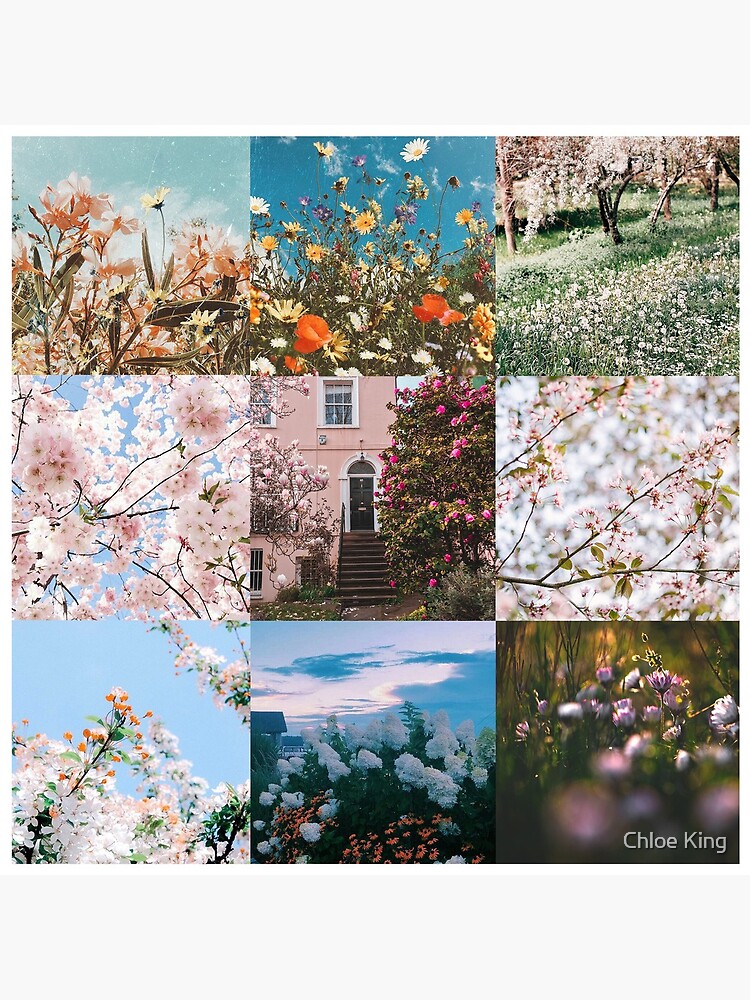 "Spring Mood Board 2" Canvas Print by Mrs-Chloe-Dixon | Redbubble