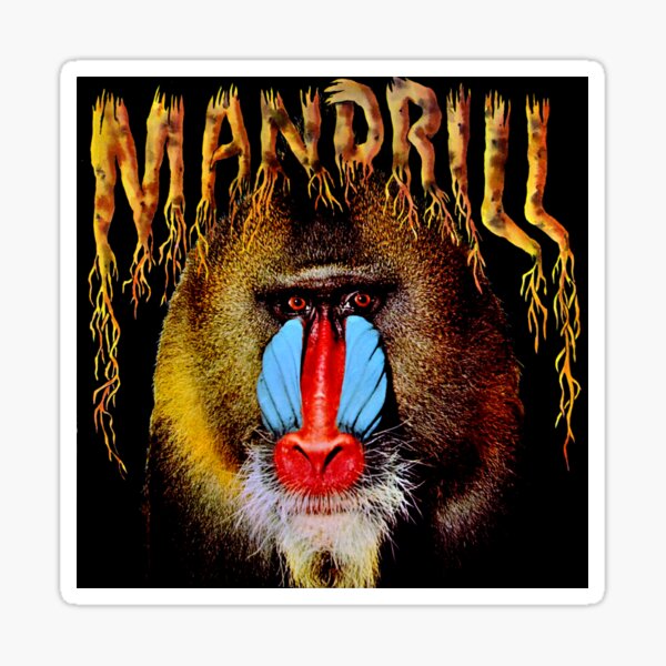 "Monkey Funky" Sticker for Sale by Ovnil | Redbubble