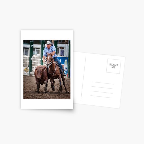 Campdrafting Gifts & Merchandise | Redbubble