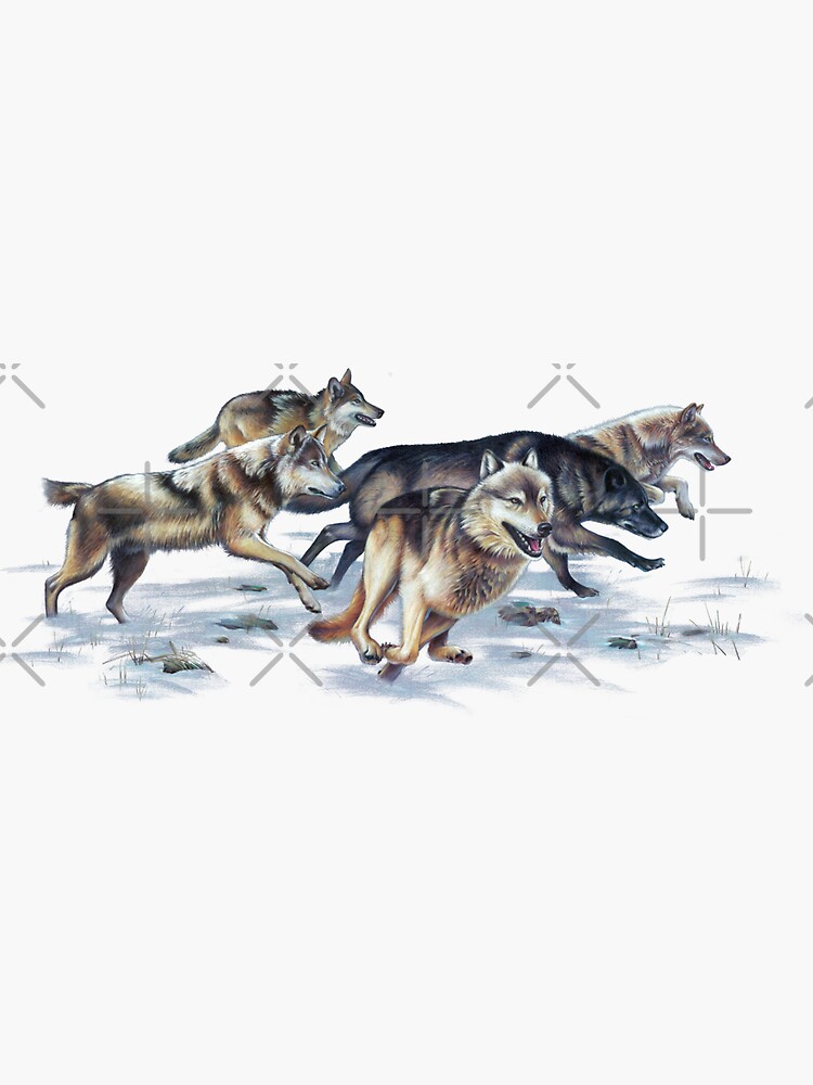 "Wolf Pack" Sticker by Salmoneggs | Redbubble