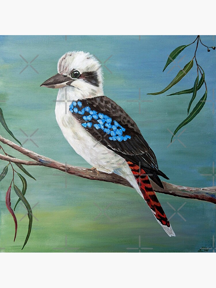 "Kooka the Kookaburra" Sticker for Sale by BramleyCottage | Redbubble