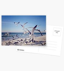 Postcards | Redbubble