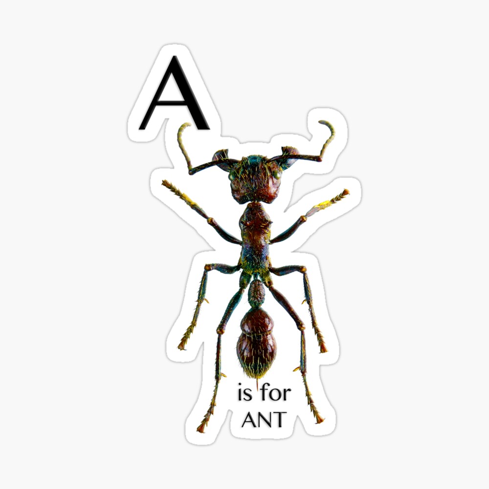 Xenos Posters Redbubble