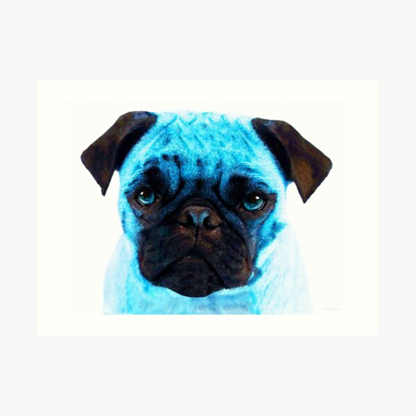 "Blue - Pug Pop Art By Sharon Cummings" Art Print by SharonCummings ...
