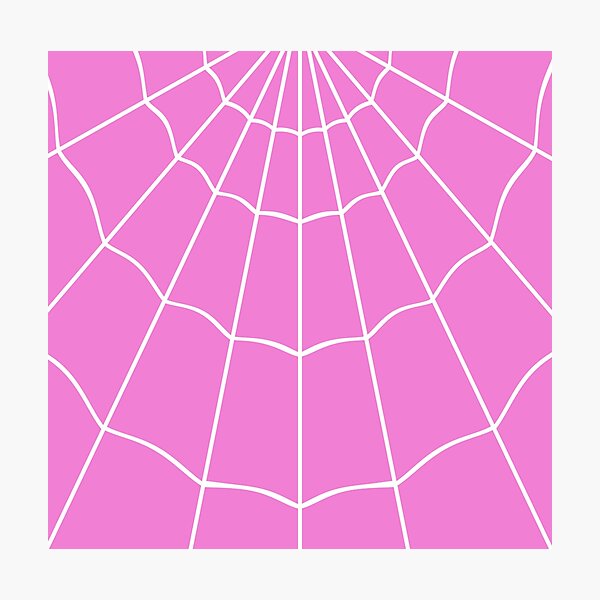"Spider Web - Pink" Photographic Print by clockworkheart | Redbubble